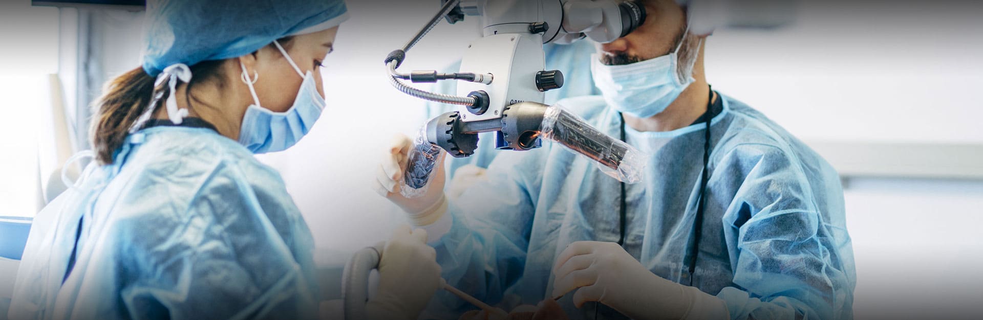 Root Tip | Apical Resection - Medicadent | Biological and Holistic ...